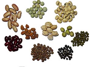 Legumes (Beans) Nutrition facts and the Health benefits