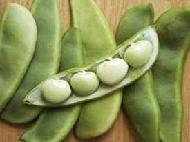 Lima beans nutrition facts and health benefits