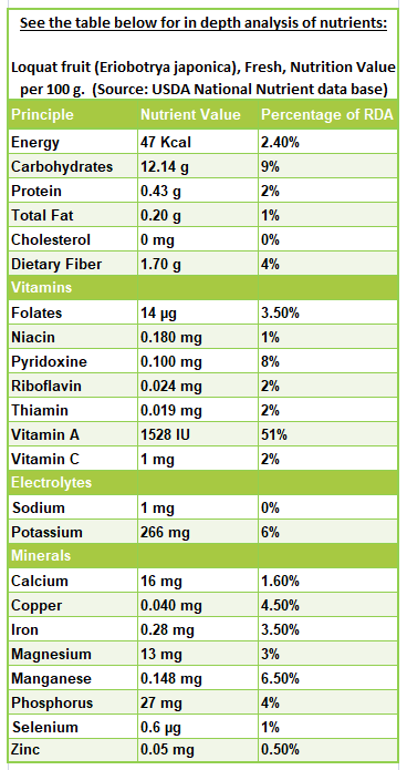 Loquat fruit nutrition facts and health benefits