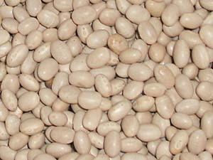 Navy beans nutrition facts and health benefits