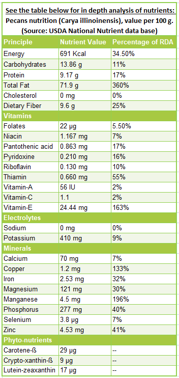 Pecans nutrition facts and health benefits