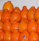 Tangerines (Mandarin oranges) Nutrition facts and Health benefits