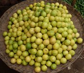 Lemon nutrition facts and health benefits