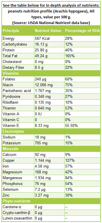 10 incredible Peanuts nutrition facts and health benefits