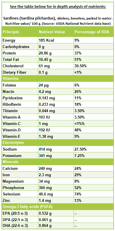 Sardines and Pilchards nutrition facts and health benefits